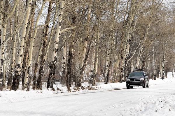 Everything You Need to Know About Rock Salt [Infographic]