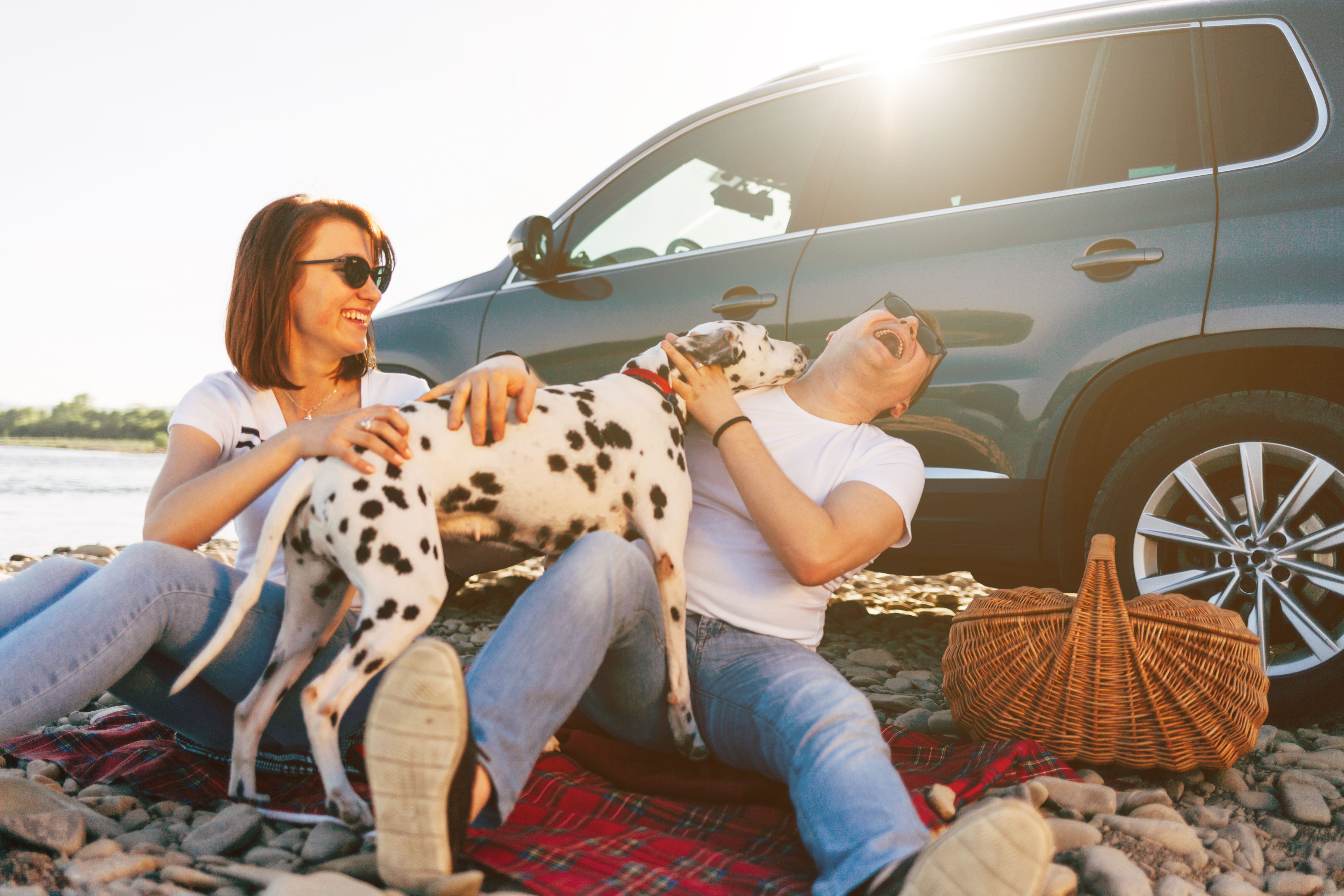 Tips for Road Trips with a Dog – Now from Nationwide