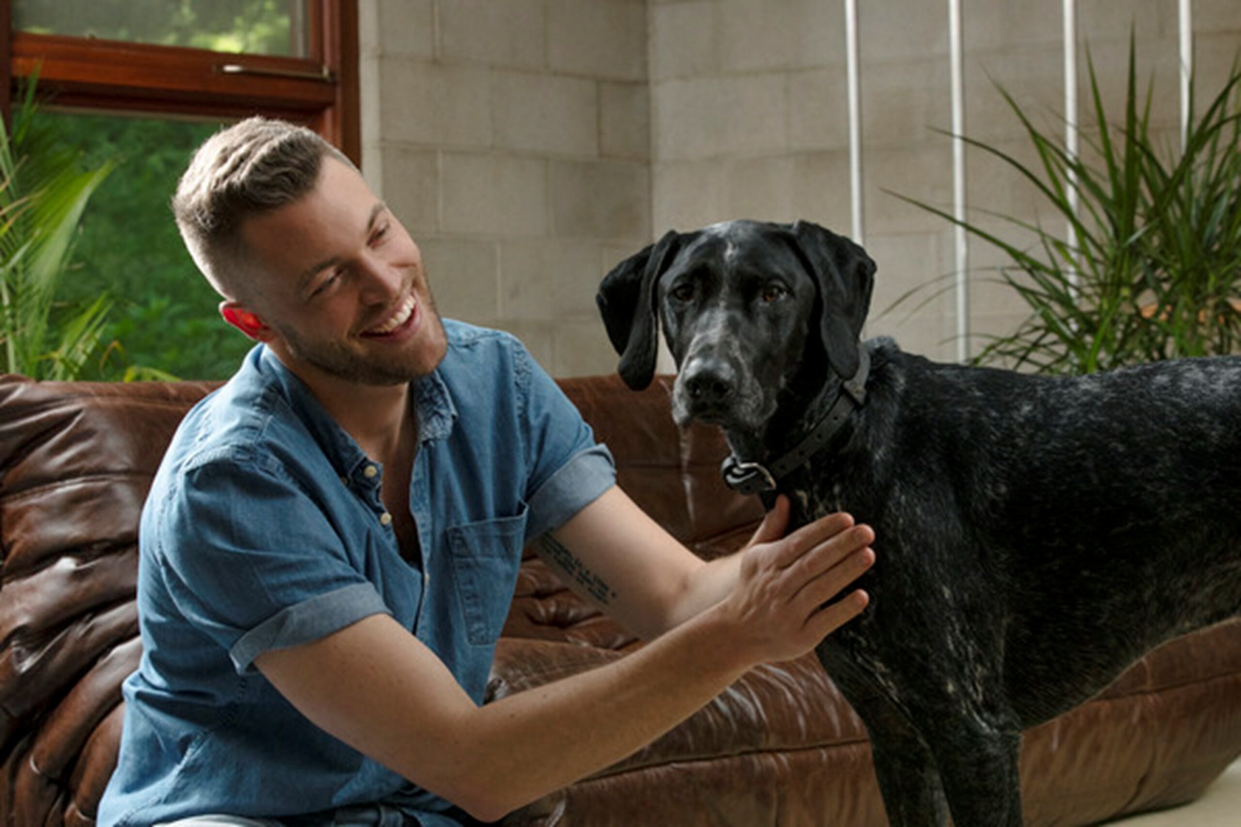 Moving with a Pet: Helpful Tips for Relocation – Now from Nationwide